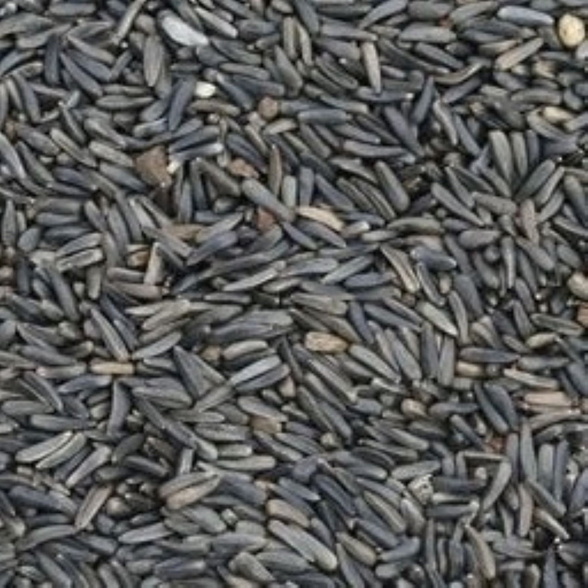 Nyjer/Thistle Seed – Chagrin Pet, Garden, and Power Equipment